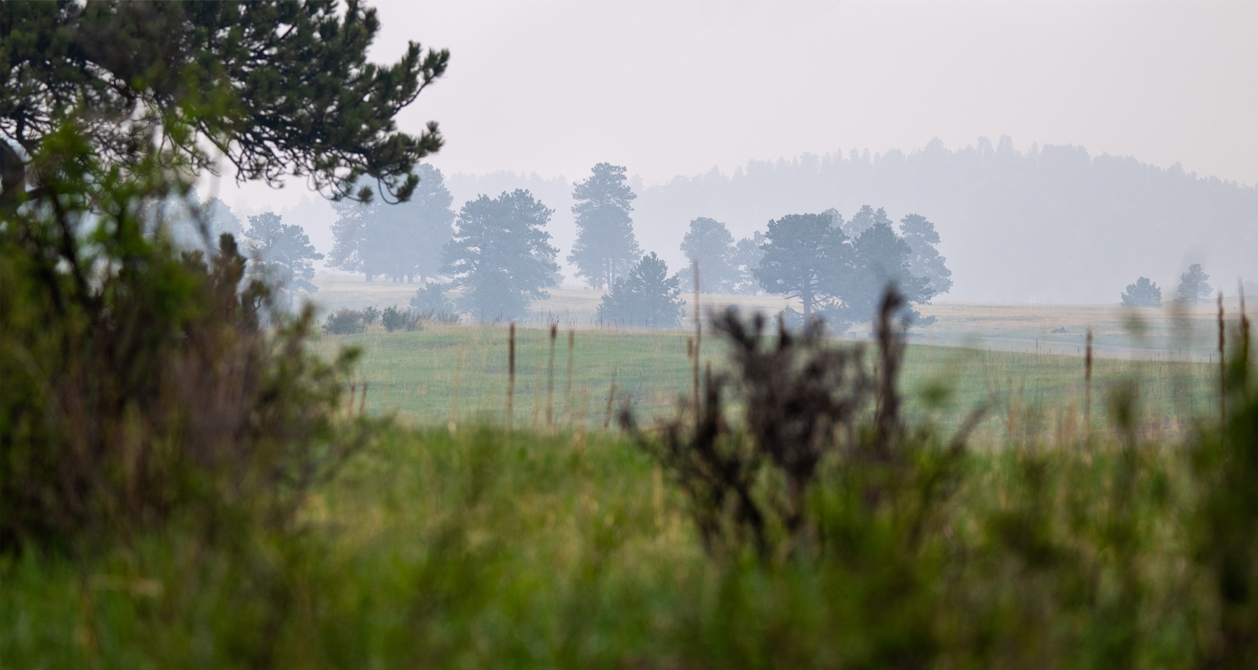 EverBean - Lakeside Coffee & Provisions