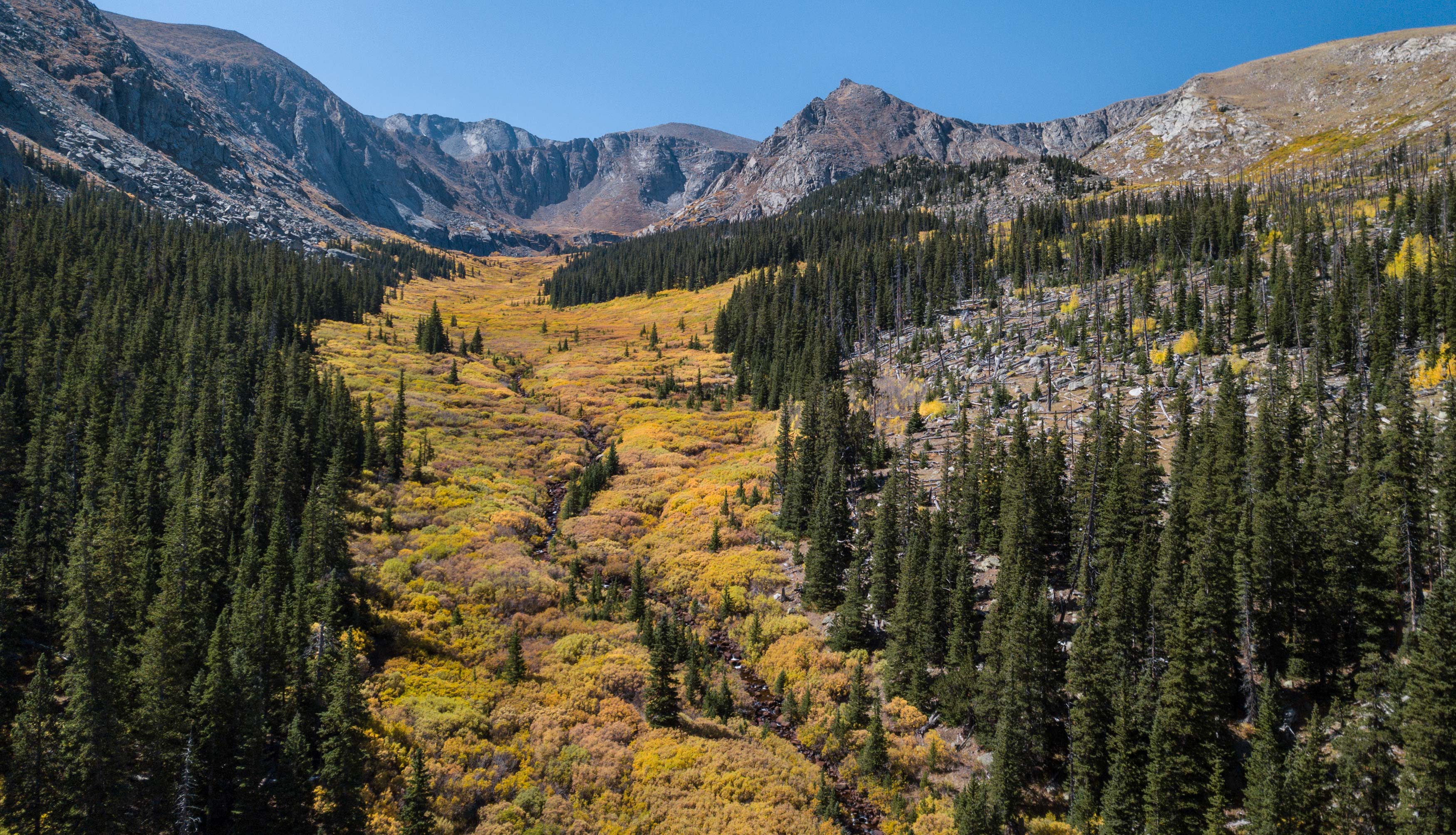 EverBean - Lakeside Coffee & Provisions